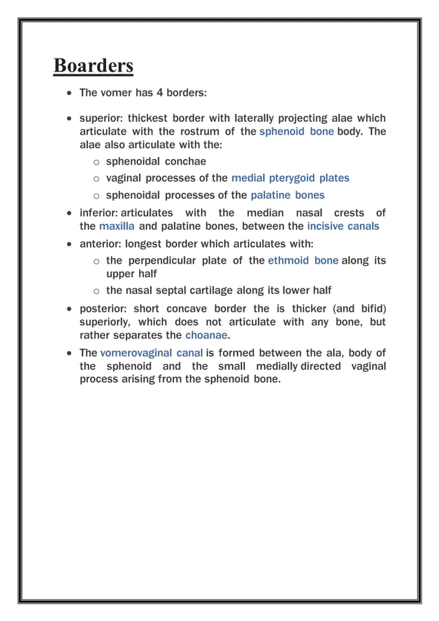 ANATOMY OF VOMER BONE | DOCX | Ear, Nose and Throat Conditions ...