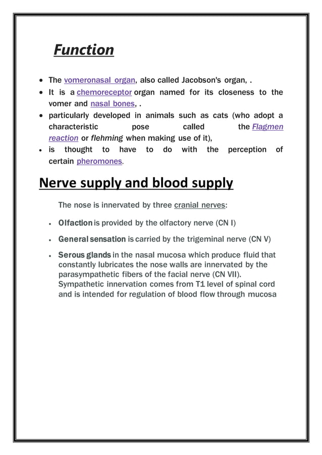 Anatomy Of Vomer Bone Docx