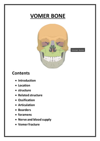 Vomer Bone Anatomy