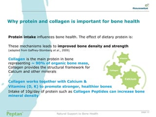 Peptan supports bone health | PPTX