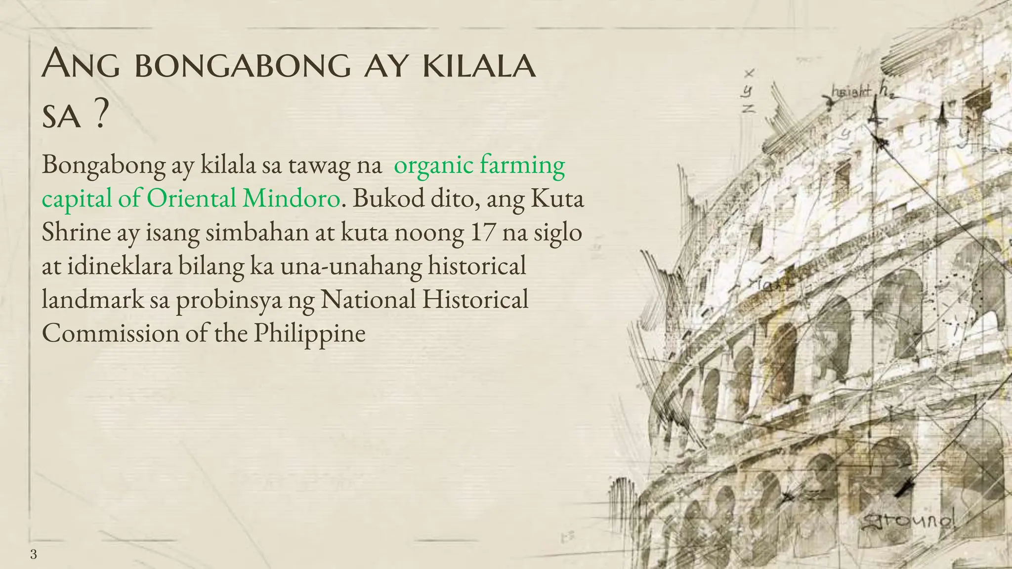 Bongabong ay kilala sa tawag na organic farming capital of oriental ...