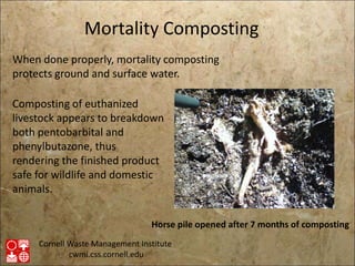 Mortality Disposal and Its Implications on Human, Animal and ...