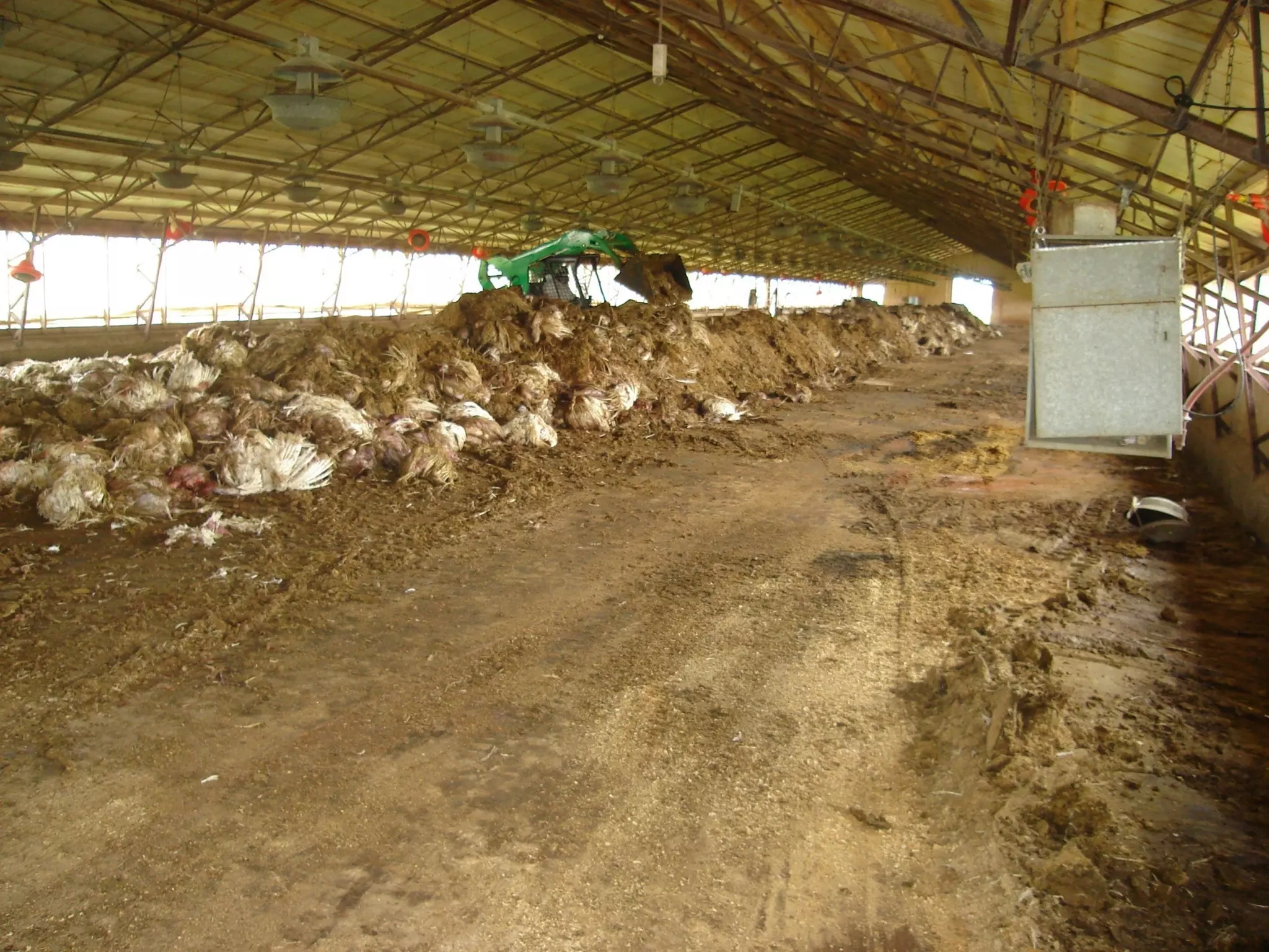 Manure Management Facilities and Structures for Small Farms | PPT