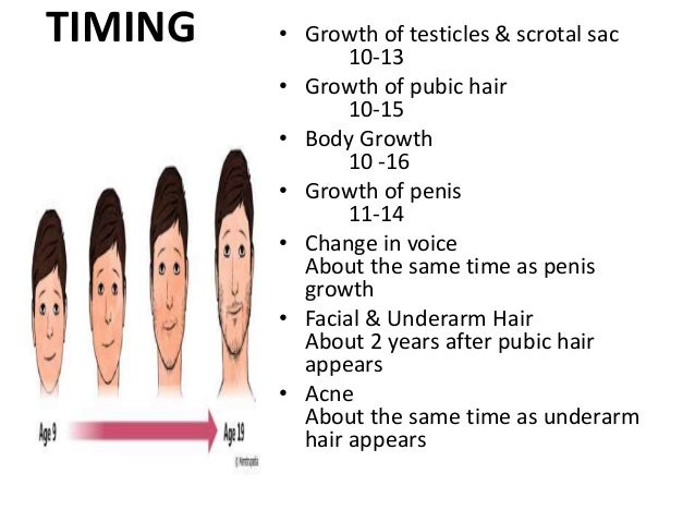 Stages Of Puberty Explained In Pictures Puberty And Tanner Staging