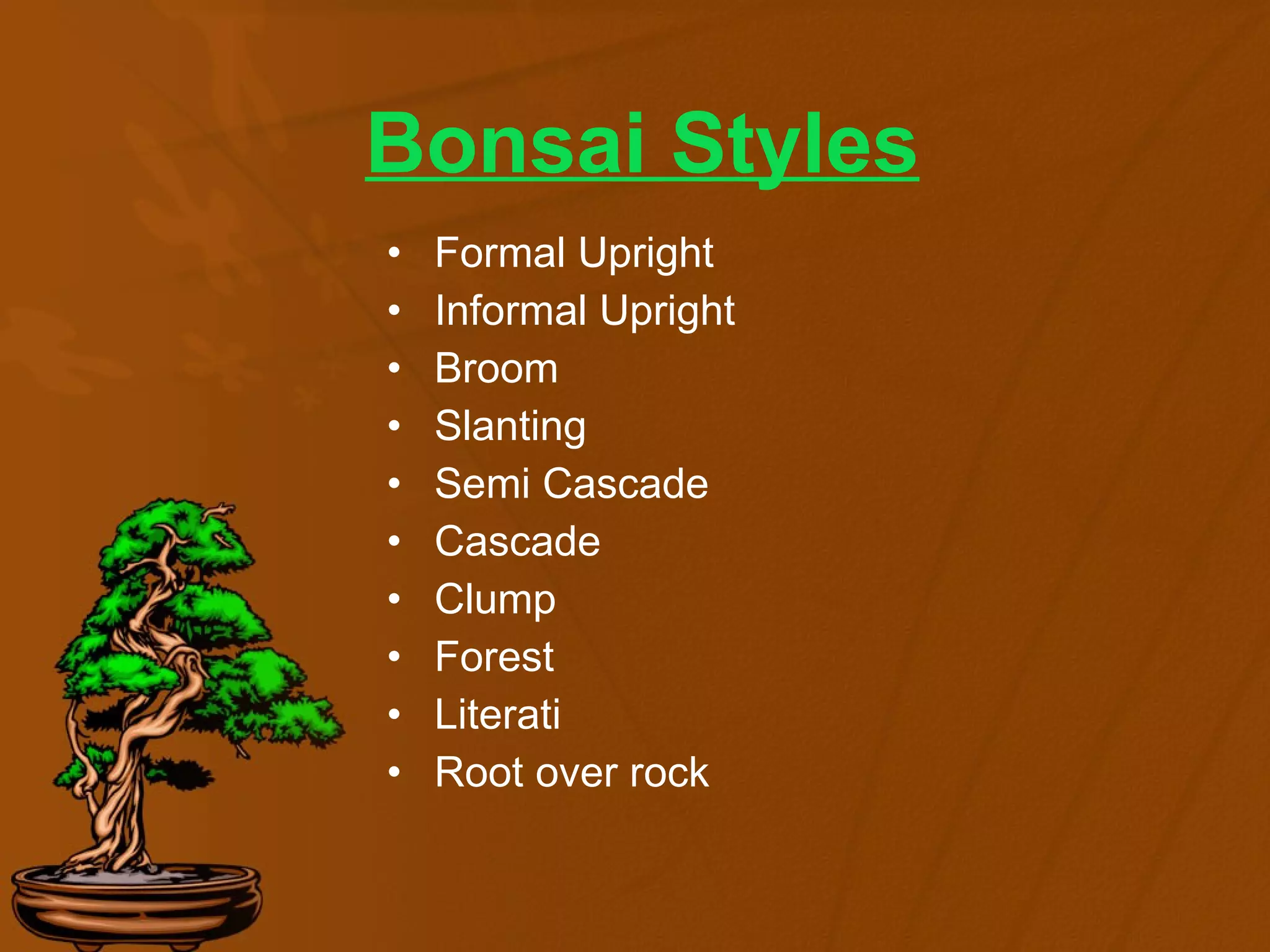 Bonsai Basics | PPT
