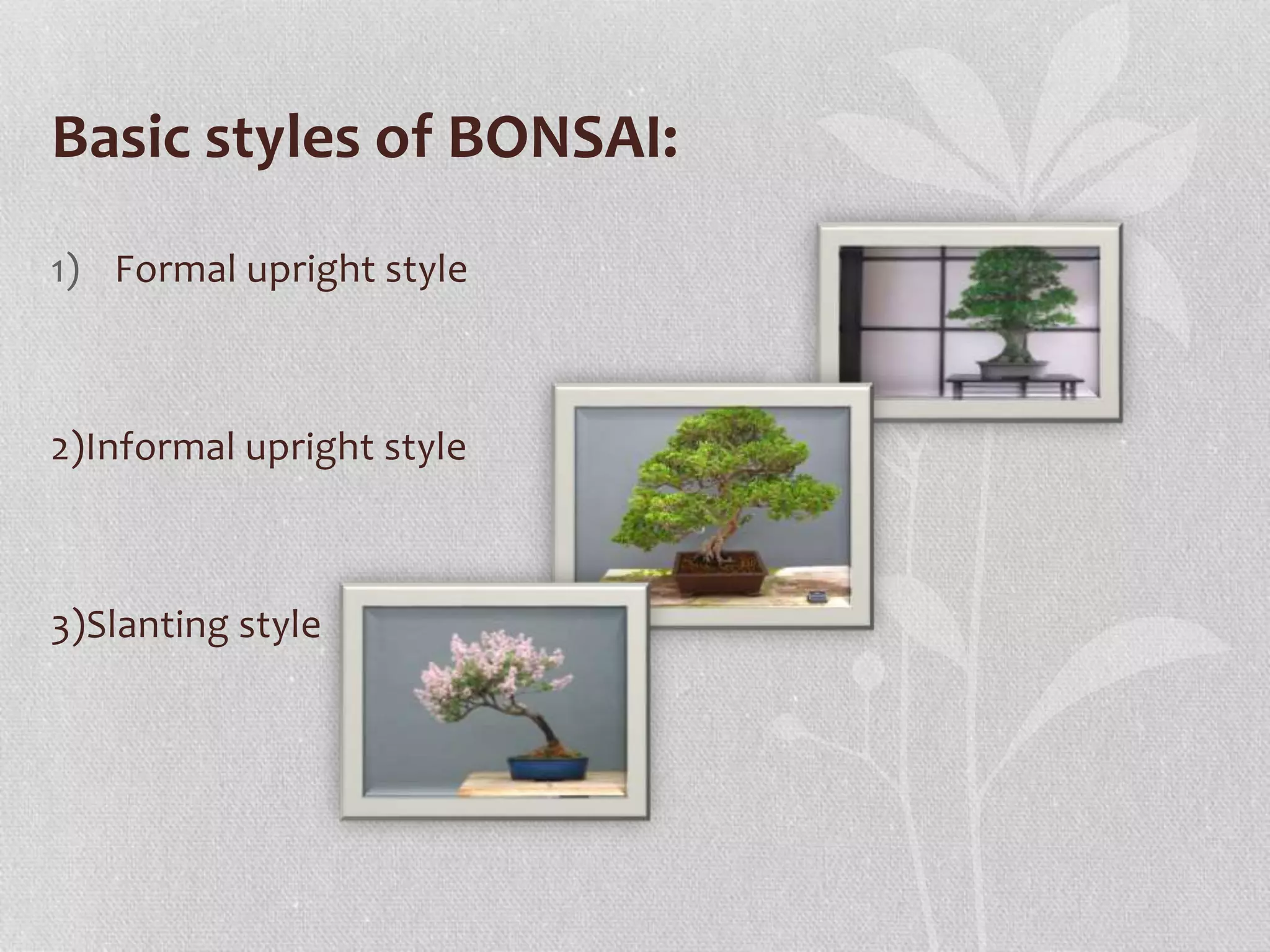 Bonsai | PPTX