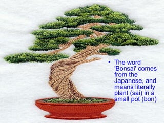 Bonsai An Horticultural Art. | PPS