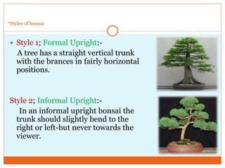 Bonsai introduction types styles benefits | PPTX