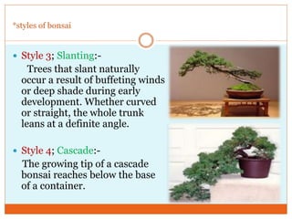 Bonsai introduction types styles benefits | PPTX