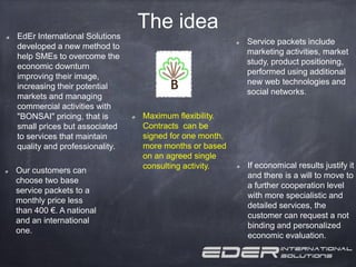 Bonsai consulting en | PDF