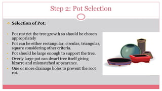Bonsai_Preparation.pptx