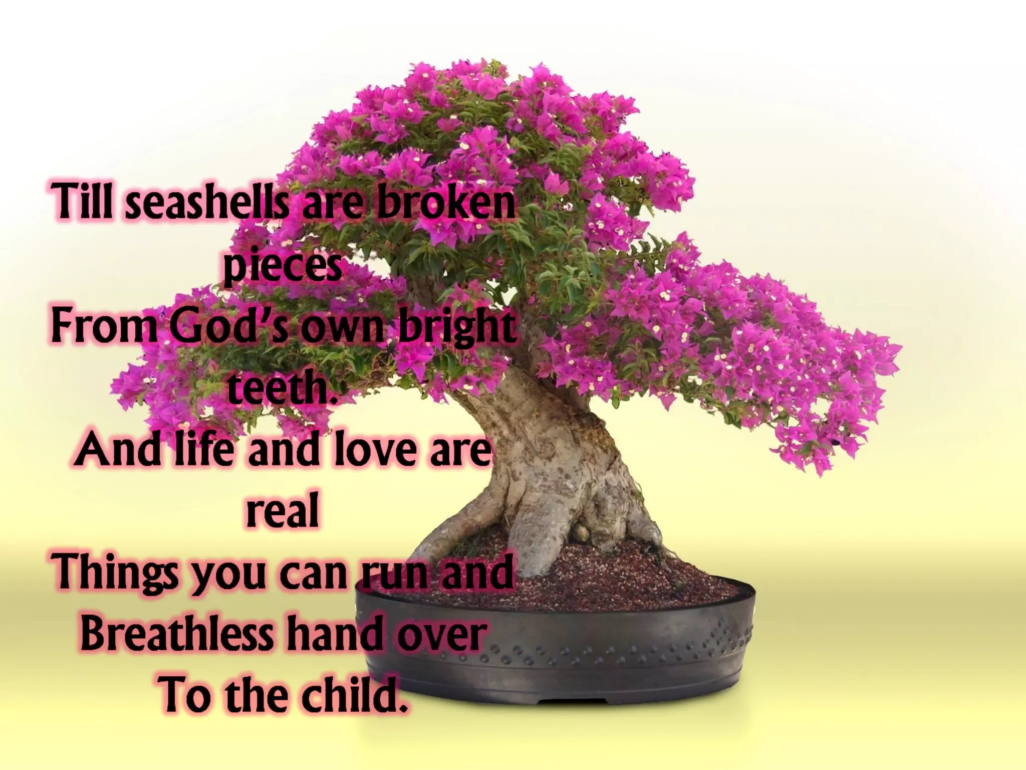 Bonsai by Edith L. Tiempo | PPT