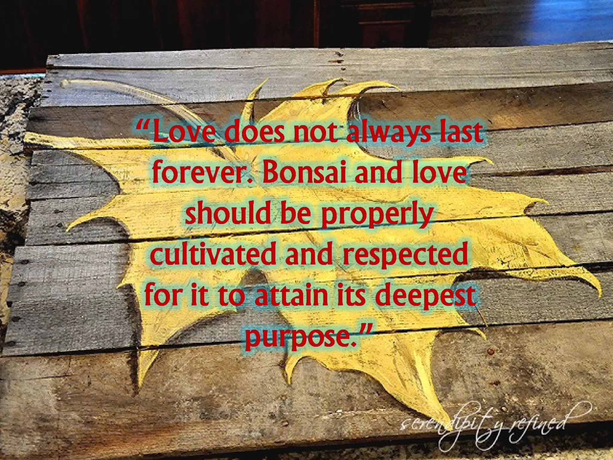 Bonsai by Edith L. Tiempo | PPT