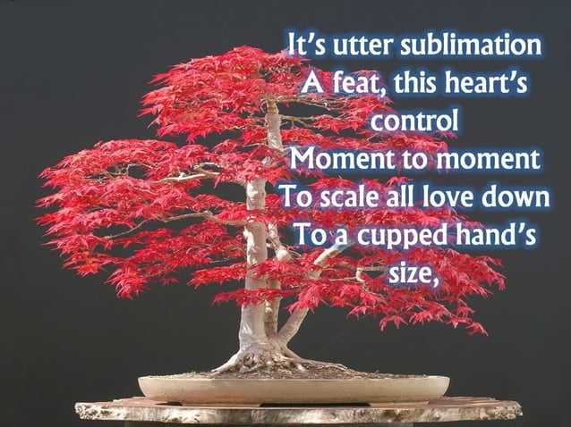 Bonsai by Edith L. Tiempo | PPT