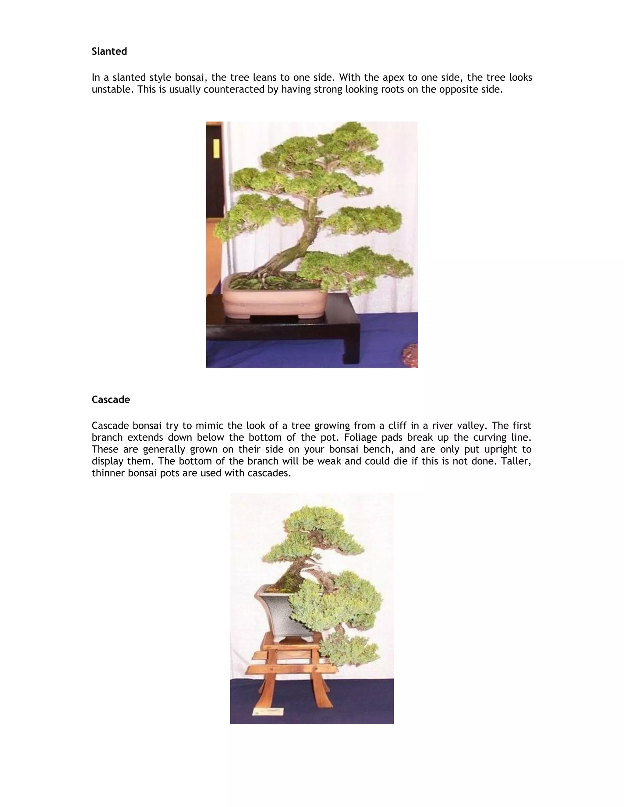 Bonsai style | PDF