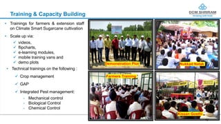 Bonsucro Global Week - DCM Shriram Certification Story from India | PDF