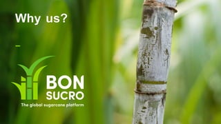 Bonsucro Global Week Danielle Morley Opening Speech | PDF | Agriculture ...