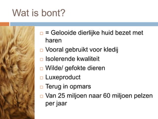 Bont | PPTX