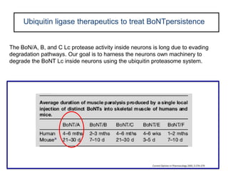 Means of Treating Botulinum Neurotoxin Persistence | PPTX