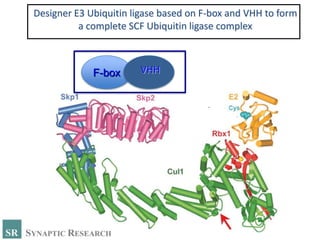 Means of Treating Botulinum Neurotoxin Persistence | PPTX