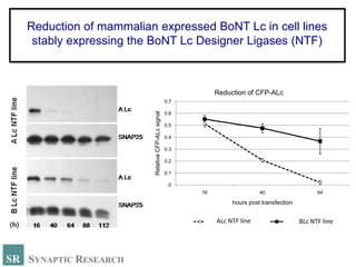 Means of Treating Botulinum Neurotoxin Persistence | PPTX