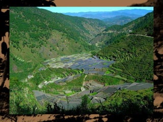 Architecture in Bontoc | PPTX