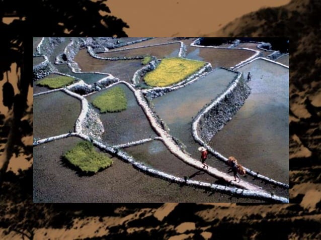 Architecture in Bontoc | PPTX