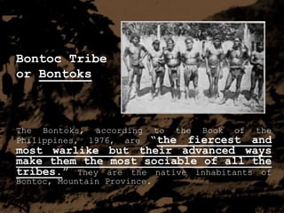 Architecture in Bontoc | PPTX