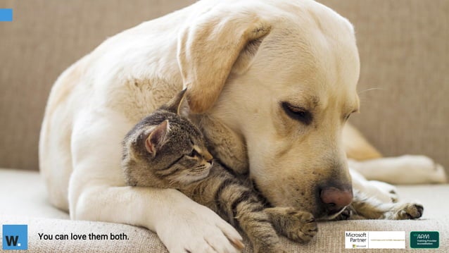 Assurance of Agile Delivery - Wellingtone | FuturePMO | PDF