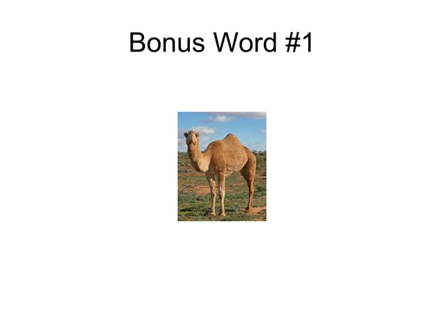 Bonus spelling words | PPT