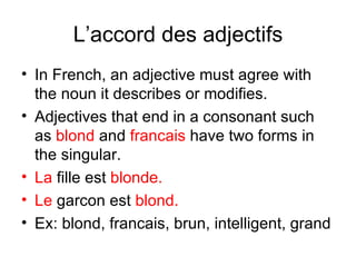 Bonvl1 Accord Des Adjectifs | PPT