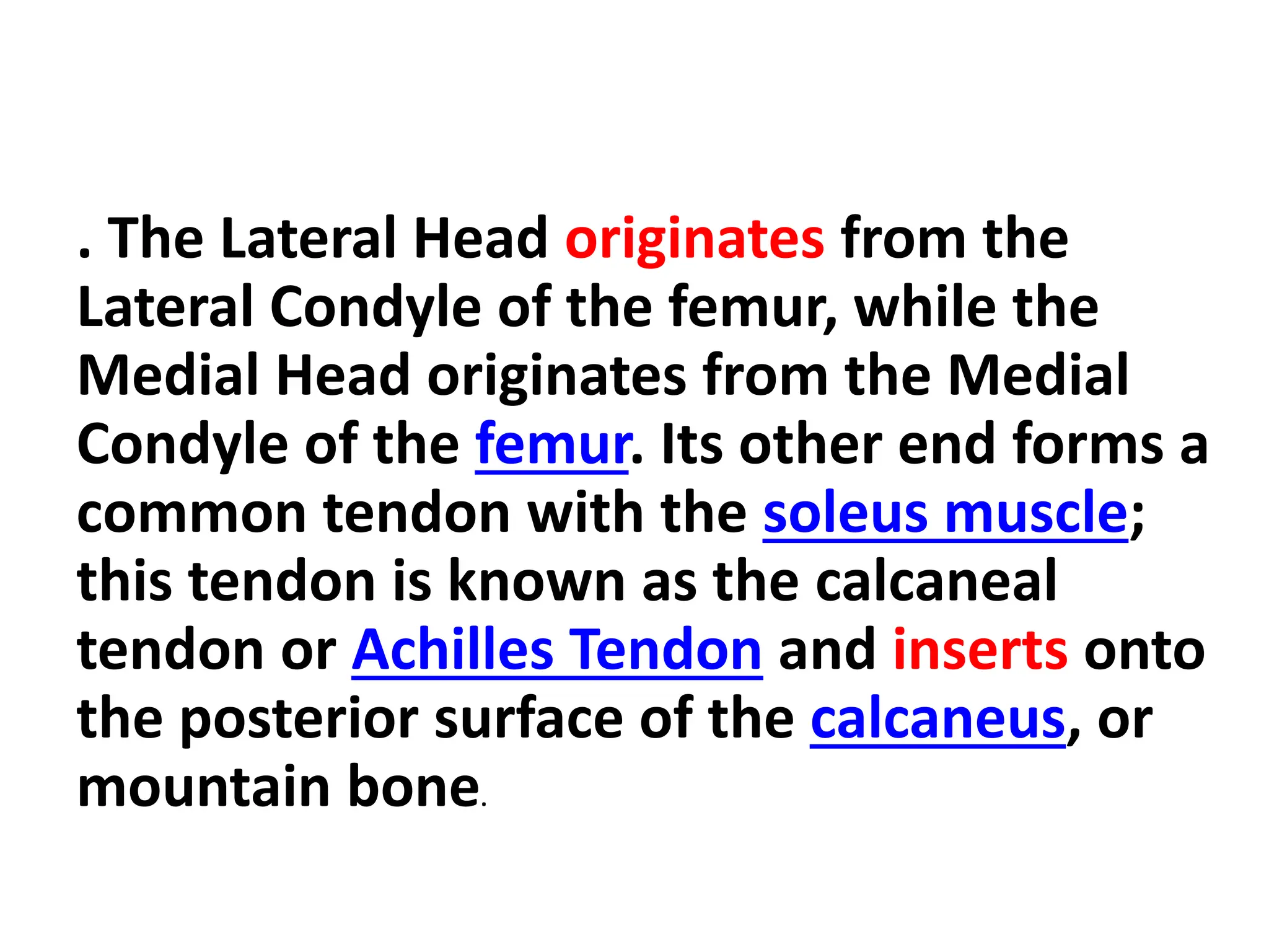 Bony anatomy of human body medical anatomy | PPTX