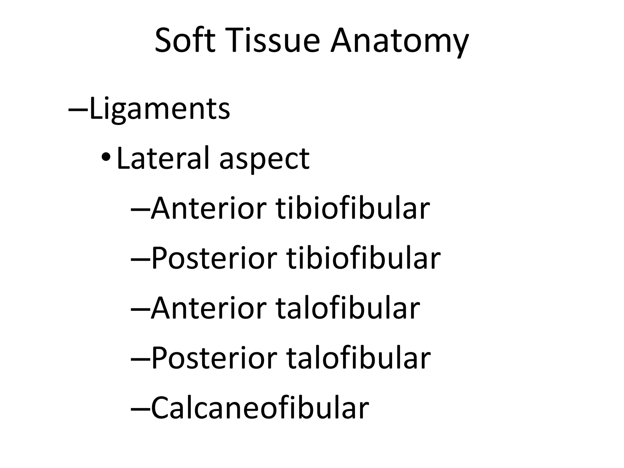 Bony anatomy of human body medical anatomy | PPTX