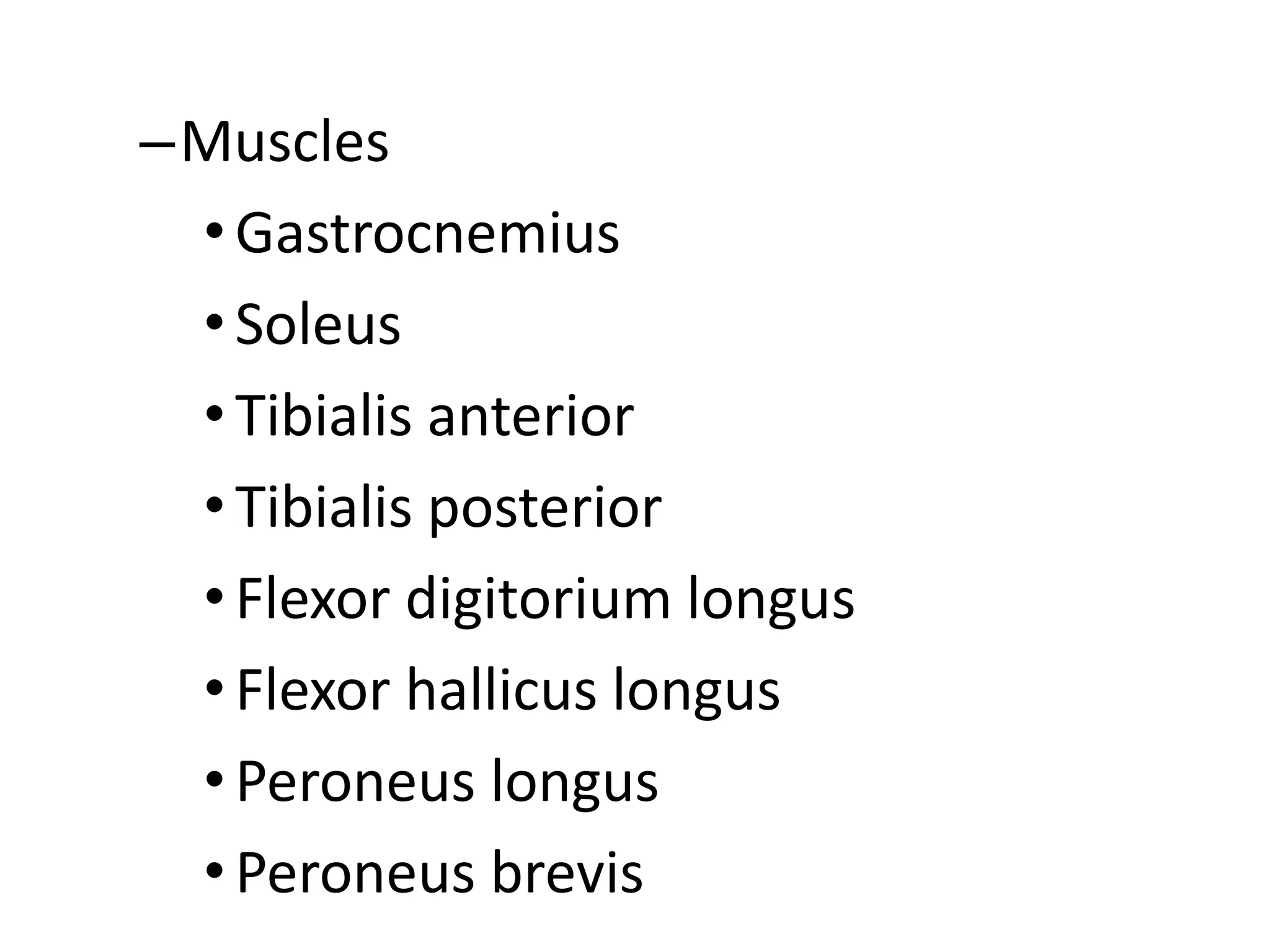 Bony anatomy of human body medical anatomy | PPTX