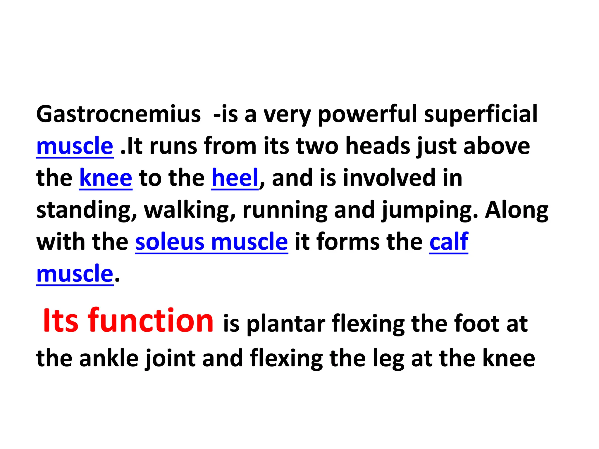 Bony anatomy of human body medical anatomy | PPTX