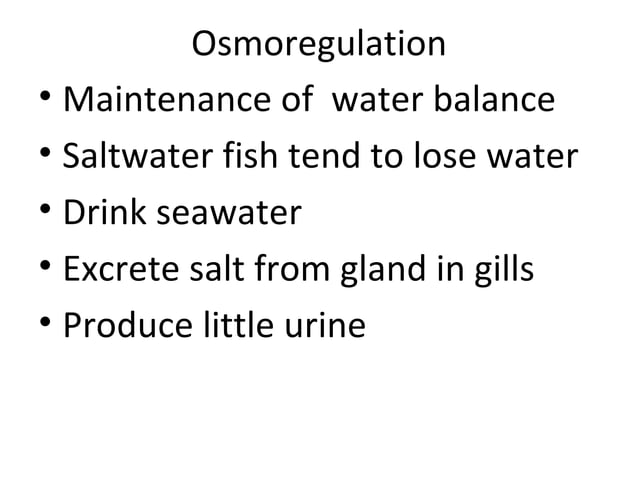 Bony fish powerpoint | PPT