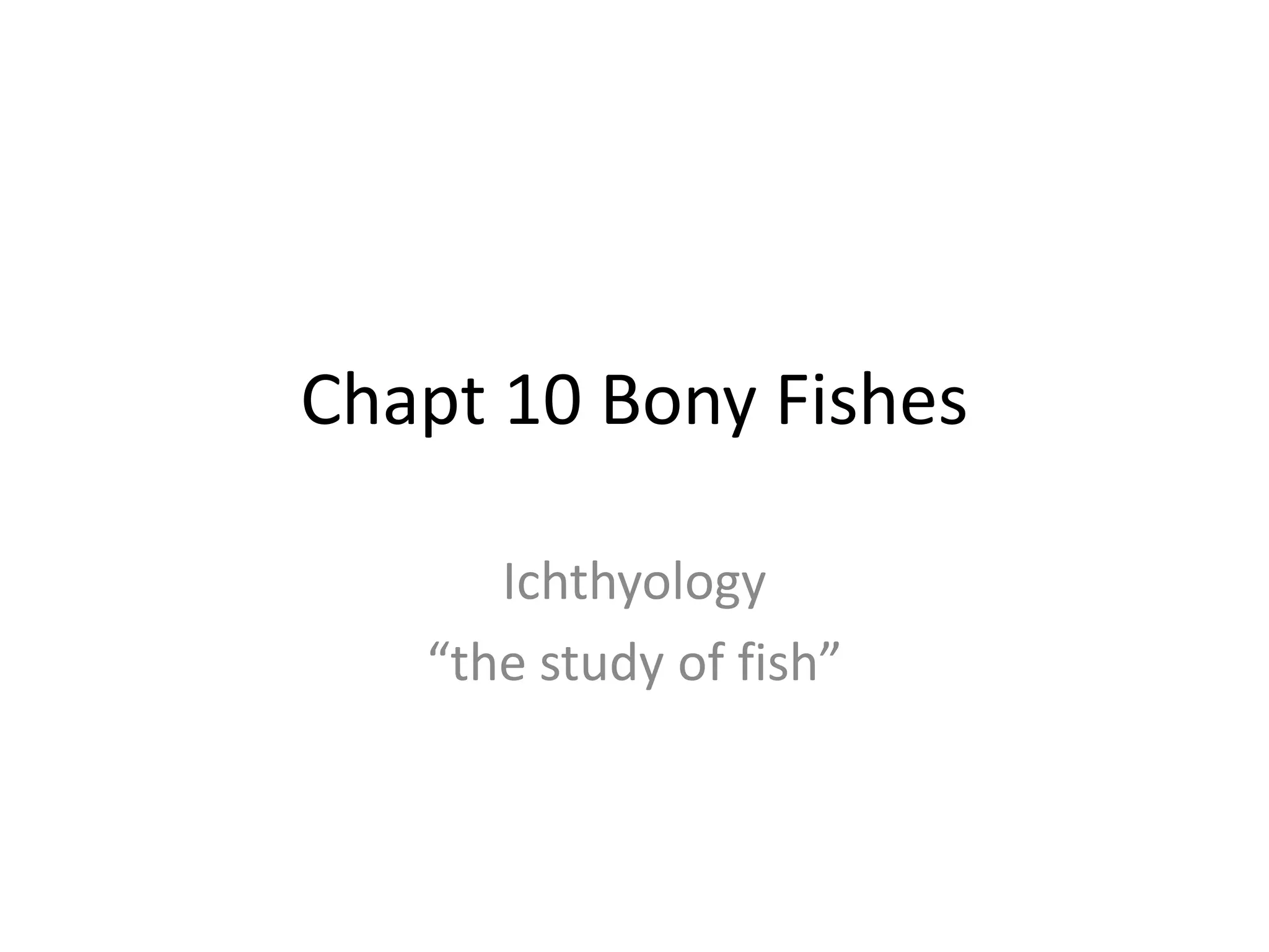 Bony fish powerpoint | PPTX