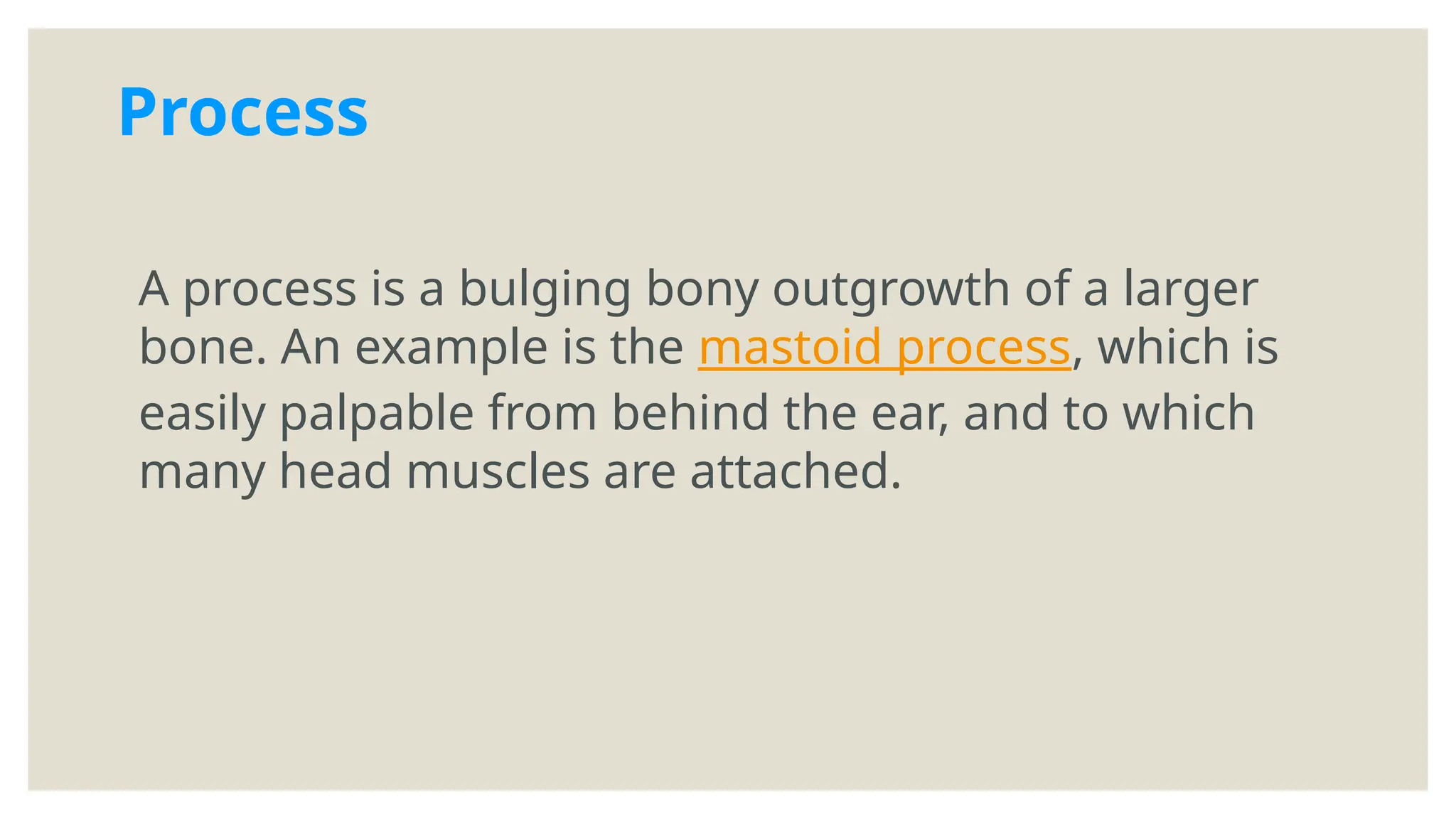 BONY LANDMARKS Terminology of anatomy physiology | PPTX