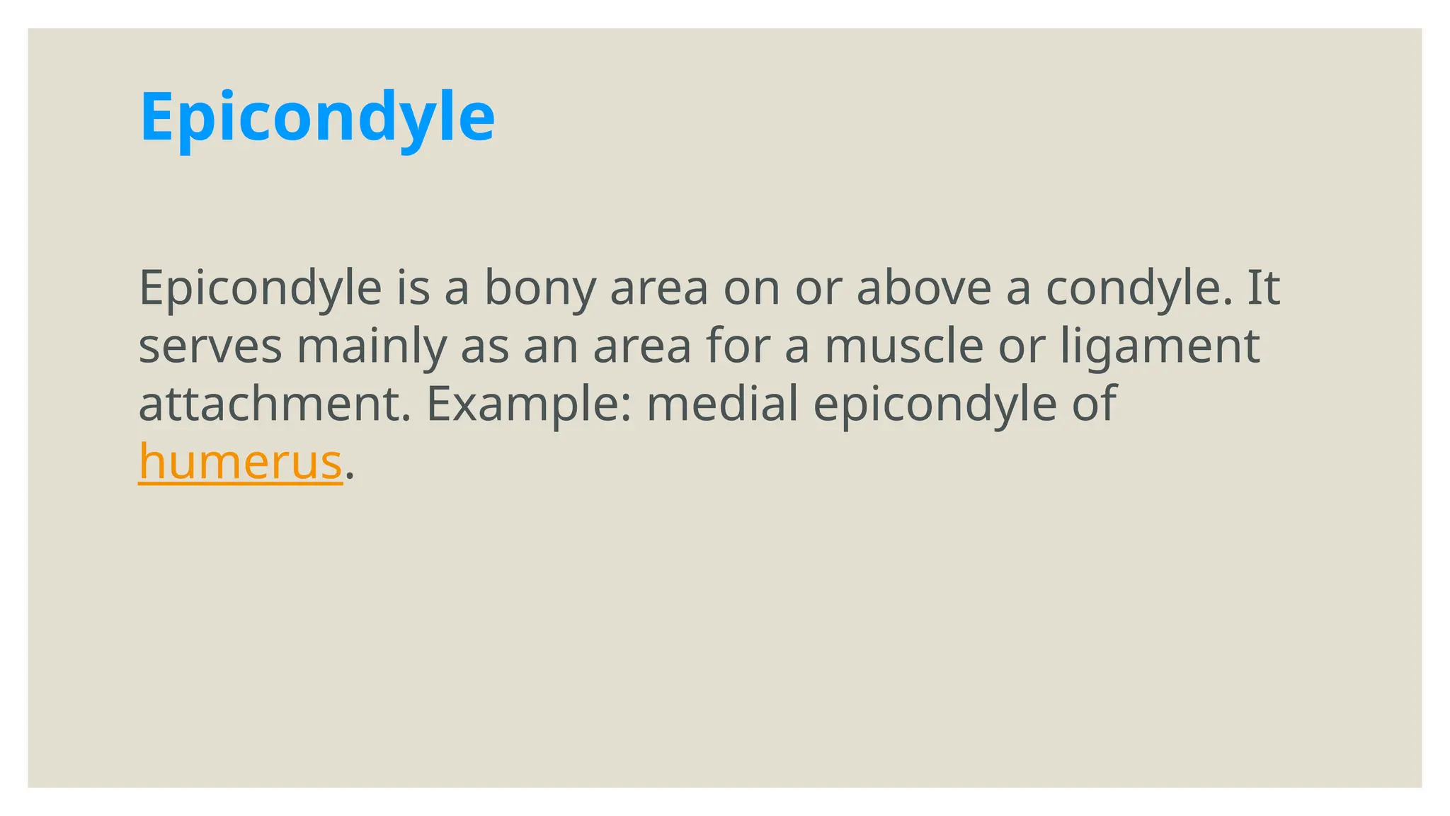 BONY LANDMARKS Terminology of anatomy physiology | PPTX