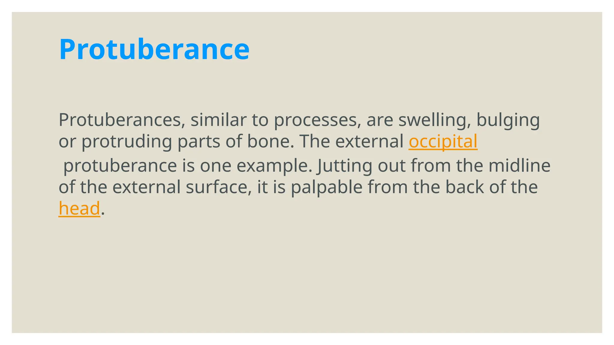 BONY LANDMARKS Terminology of anatomy physiology | PPTX