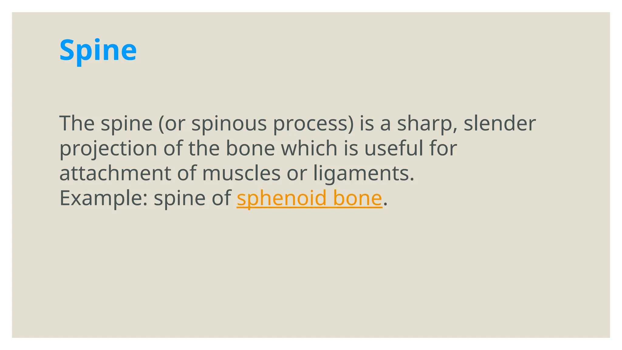 BONY LANDMARKS Terminology of anatomy physiology | PPTX