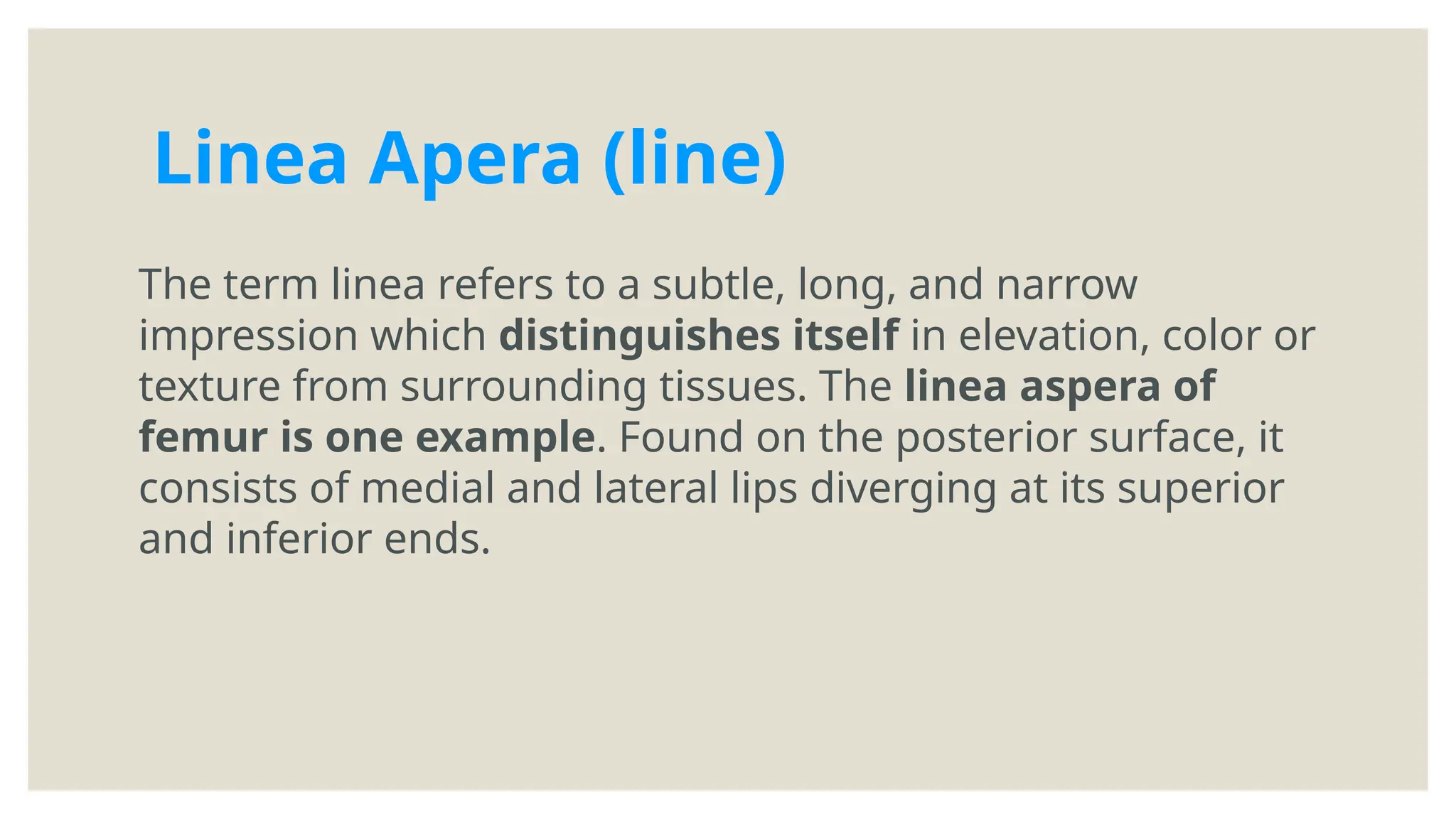 BONY LANDMARKS Terminology of anatomy physiology | PPTX