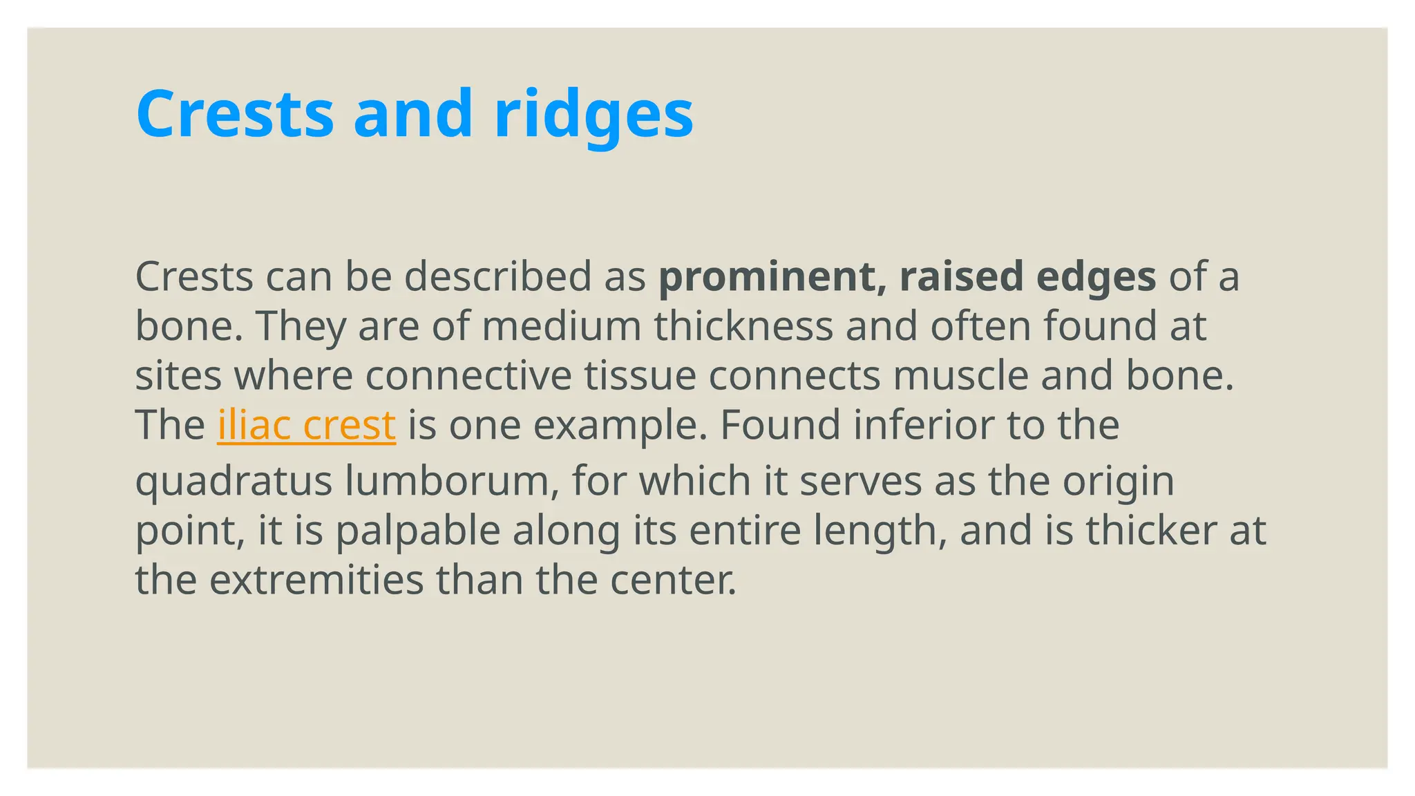 BONY LANDMARKS Terminology of anatomy physiology | PPTX