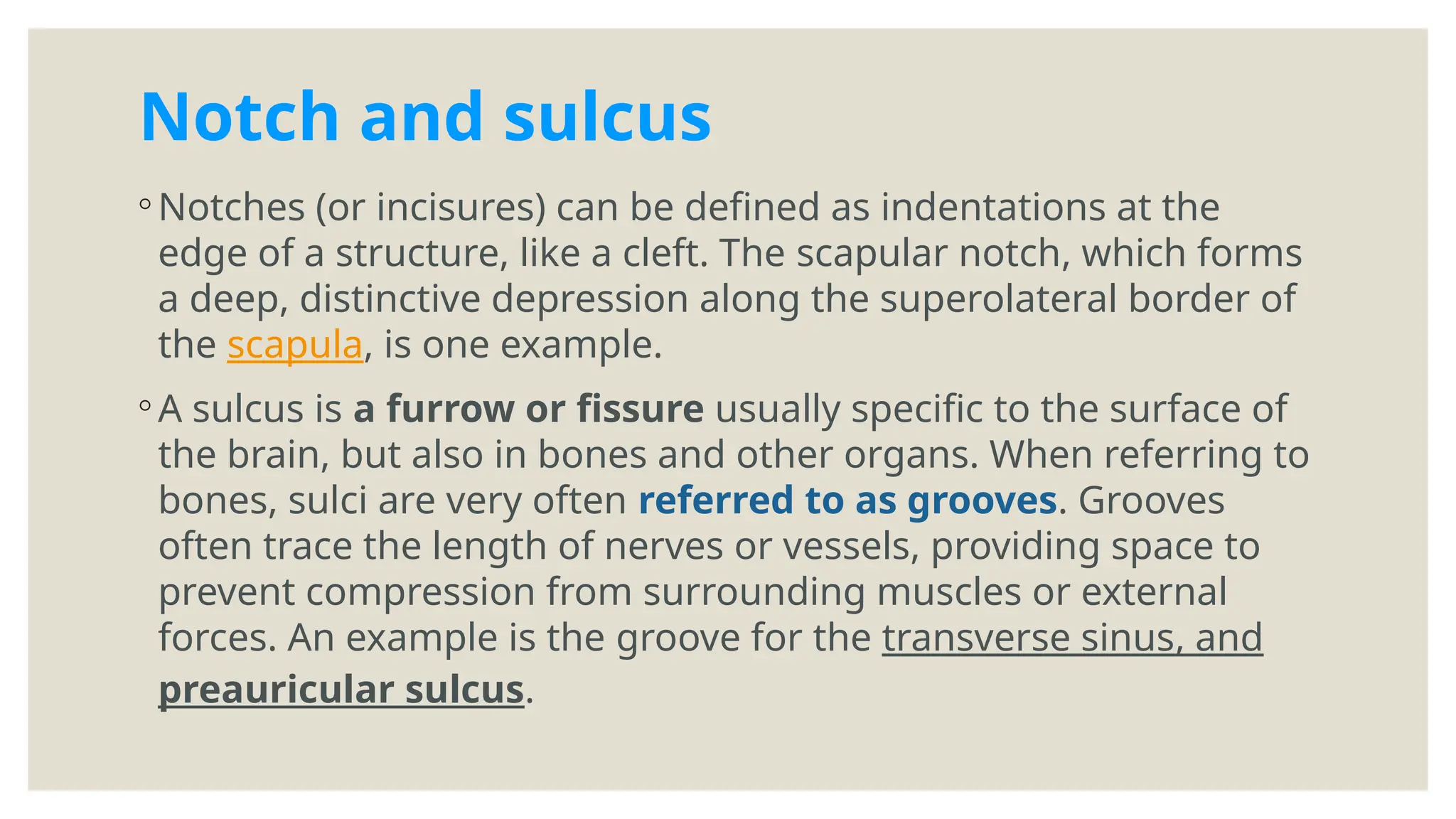 BONY LANDMARKS Terminology of anatomy physiology | PPTX