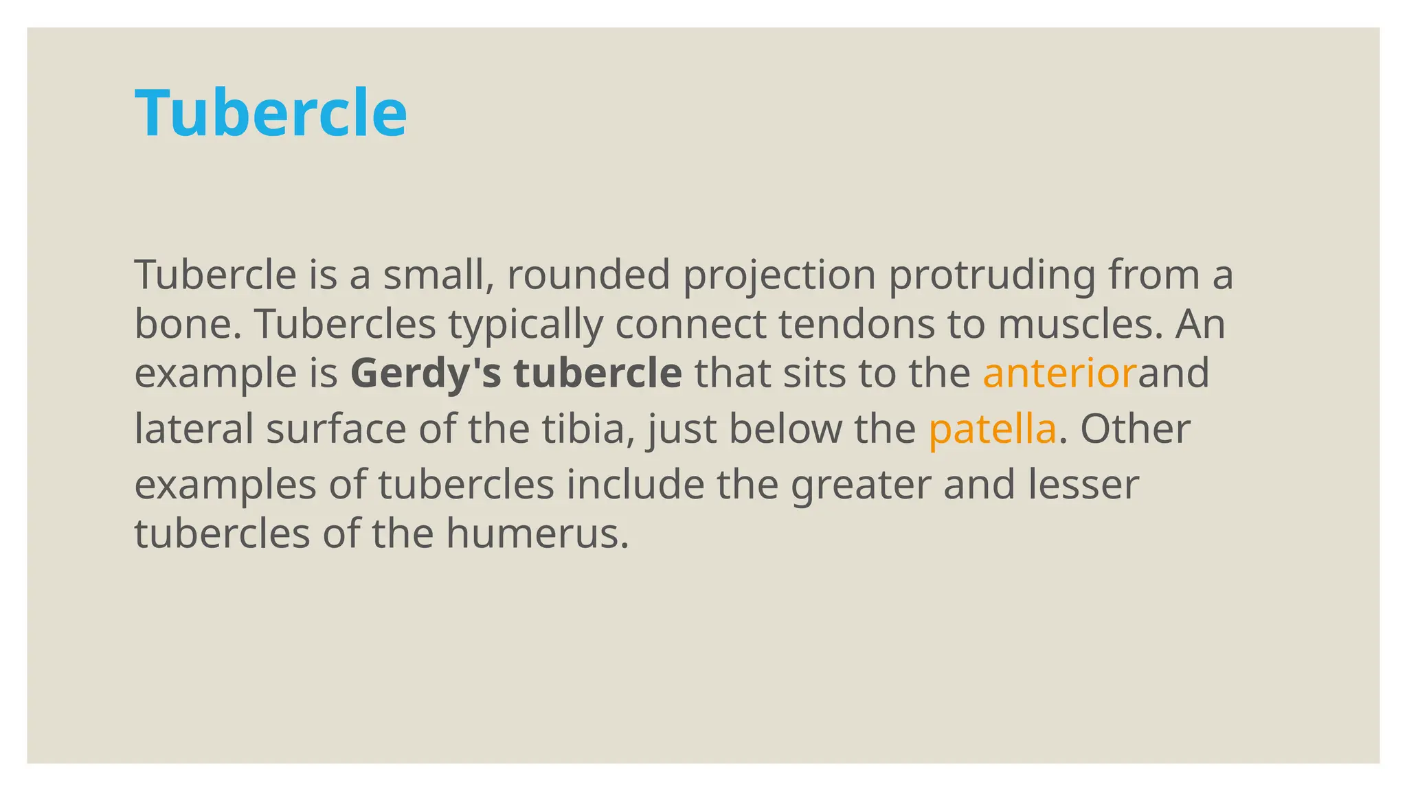BONY LANDMARKS Terminology of anatomy physiology | PPTX