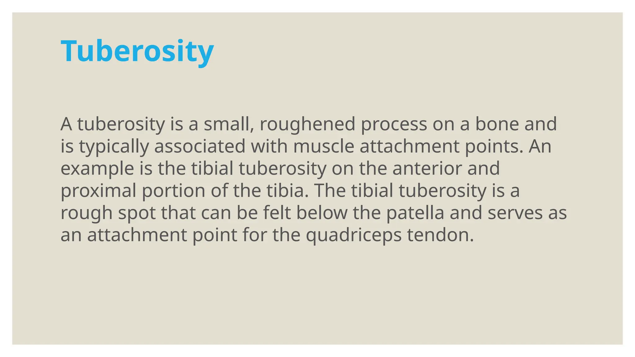 BONY LANDMARKS Terminology of anatomy physiology | PPTX