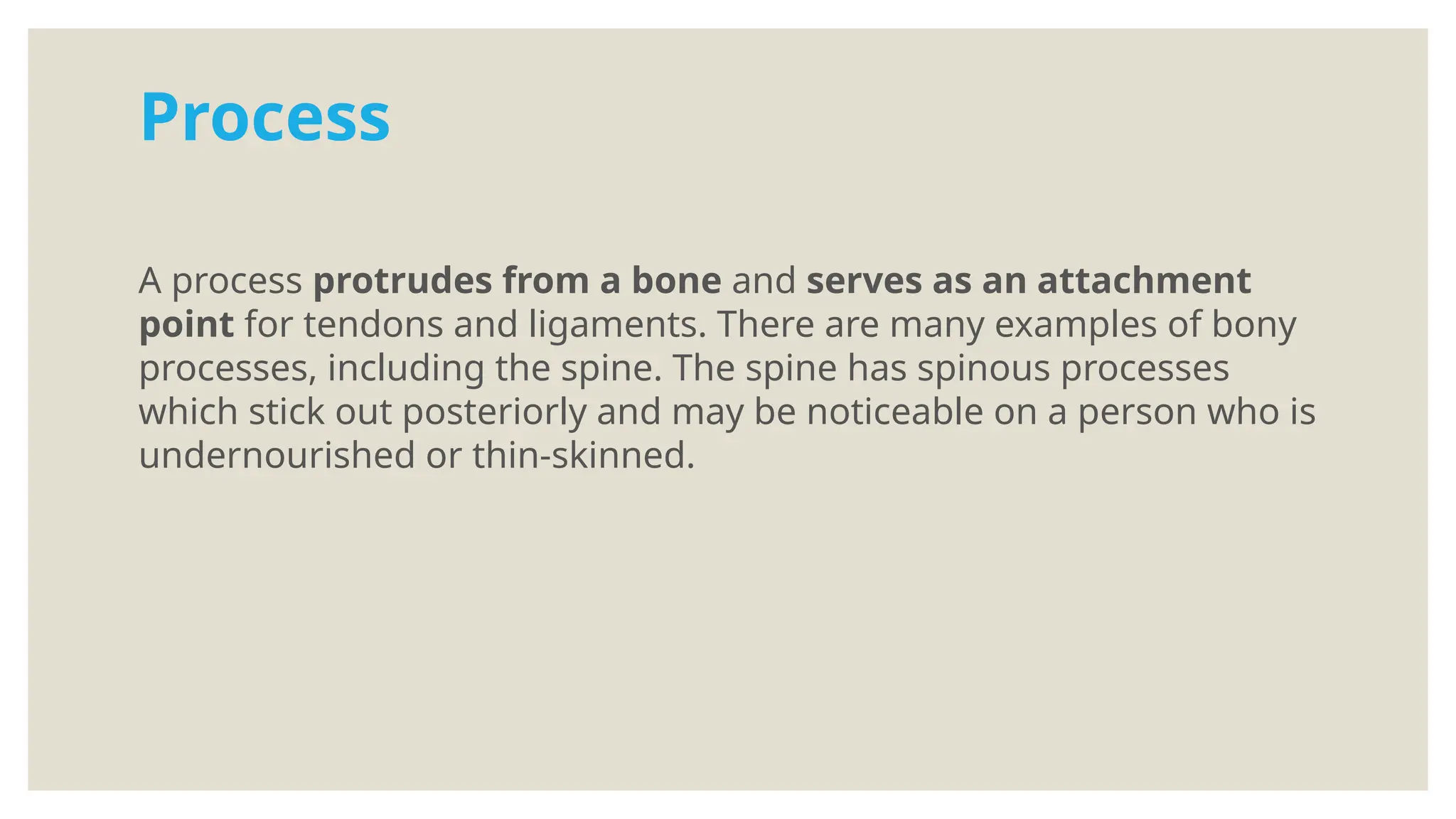 BONY LANDMARKS Terminology of anatomy physiology | PPTX