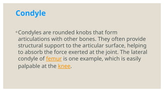 BONY LANDMARKS Terminology of anatomy physiology | PPTX