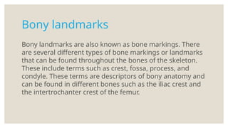 BONY LANDMARKS Terminology of anatomy physiology | PPTX