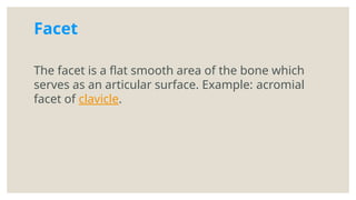 BONY LANDMARKS Terminology of anatomy physiology | PPTX